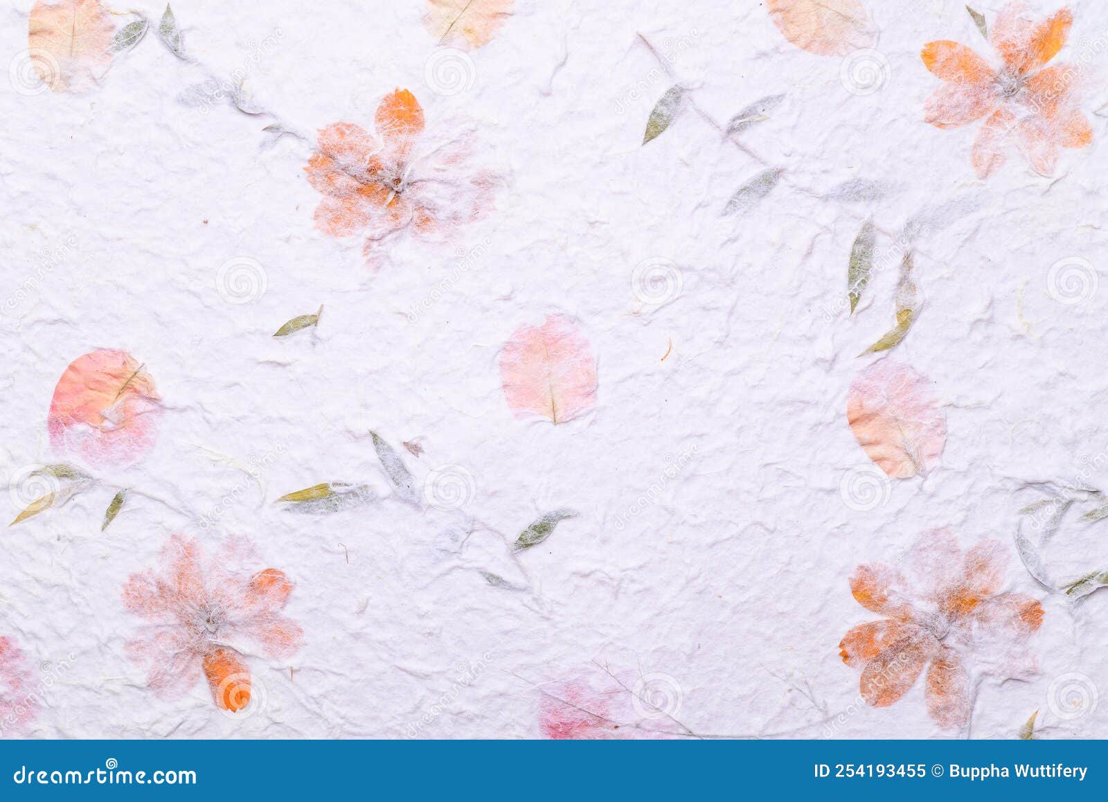 Mulberry Paper Sheet Decorated with Dry Flower and Leaf Stock Image ...