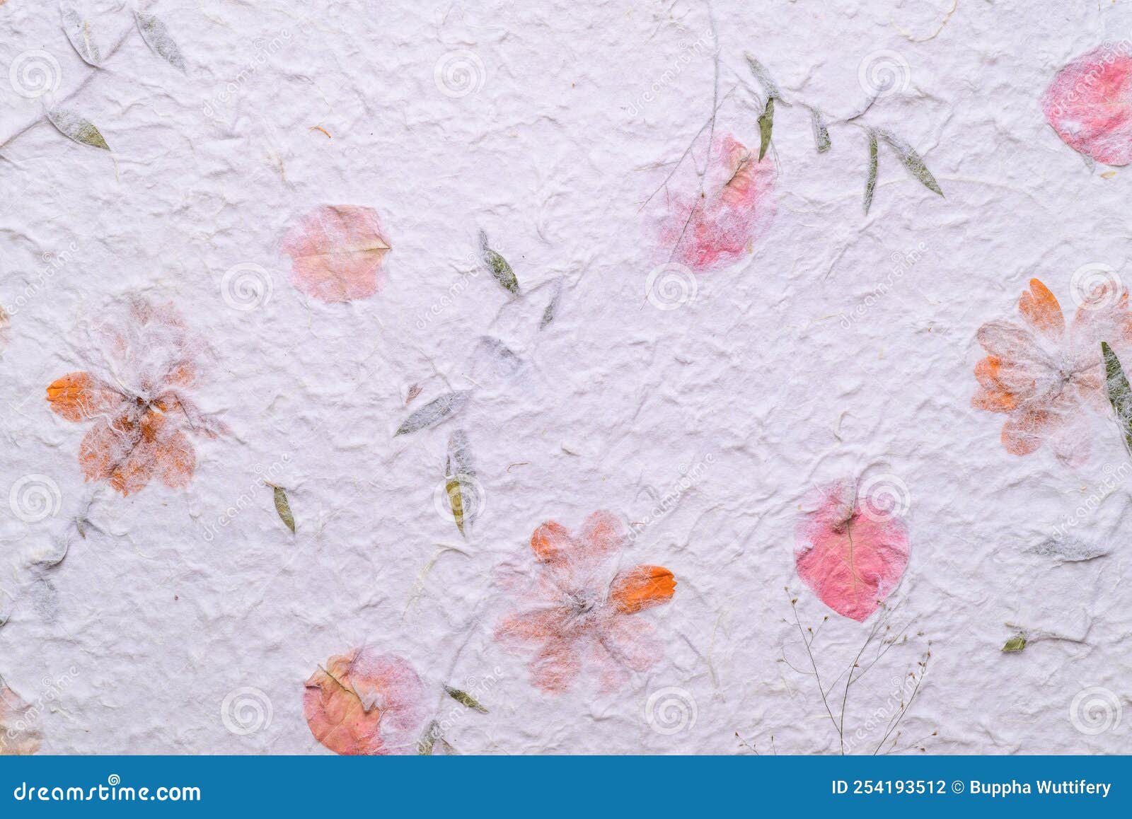 Mulberry Paper Sheet Decorated with Dry Flower and Leaf Stock Photo ...