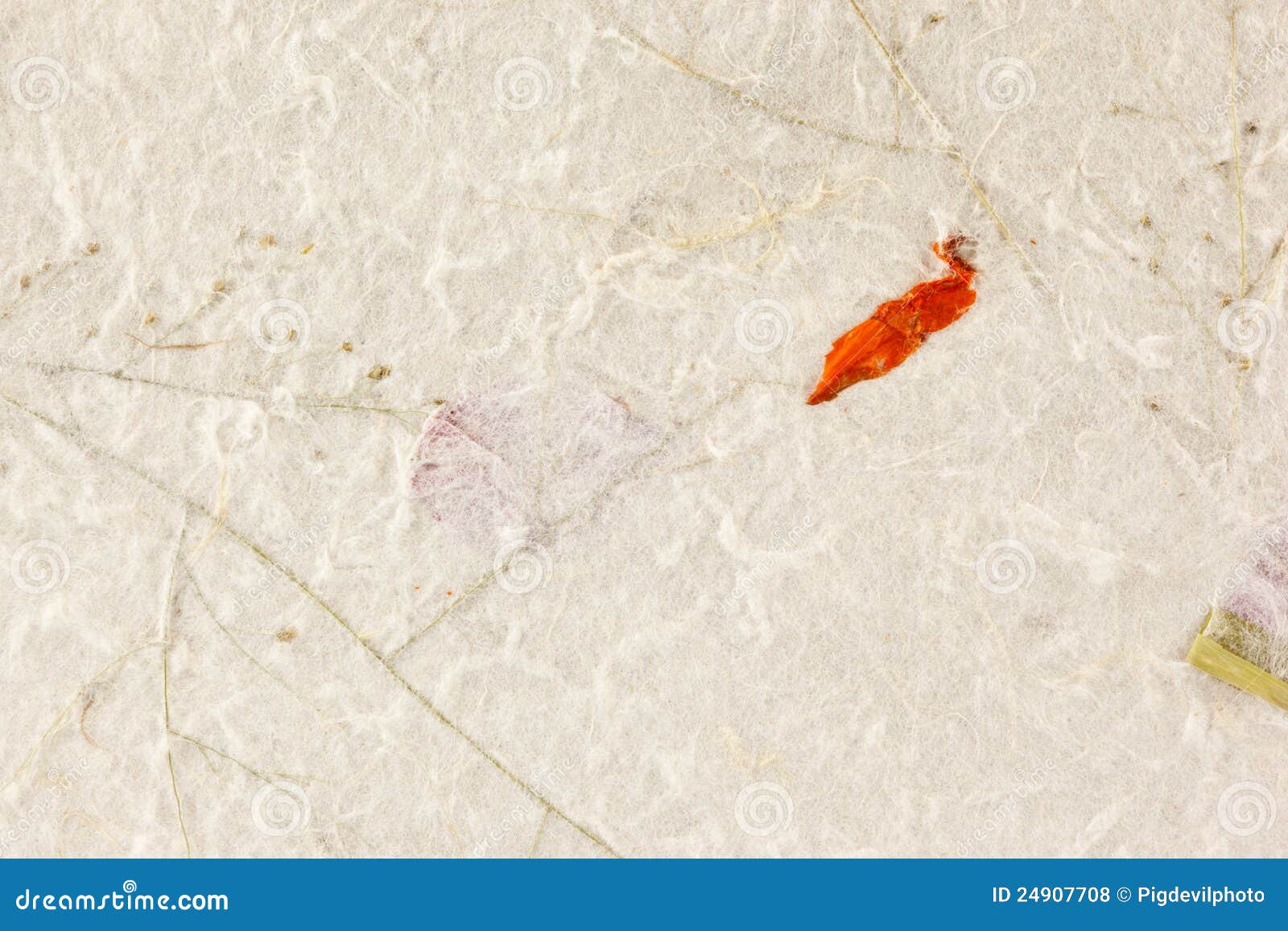 Mulberry paper texture stock photo. Image of grungy, cream - 24907708