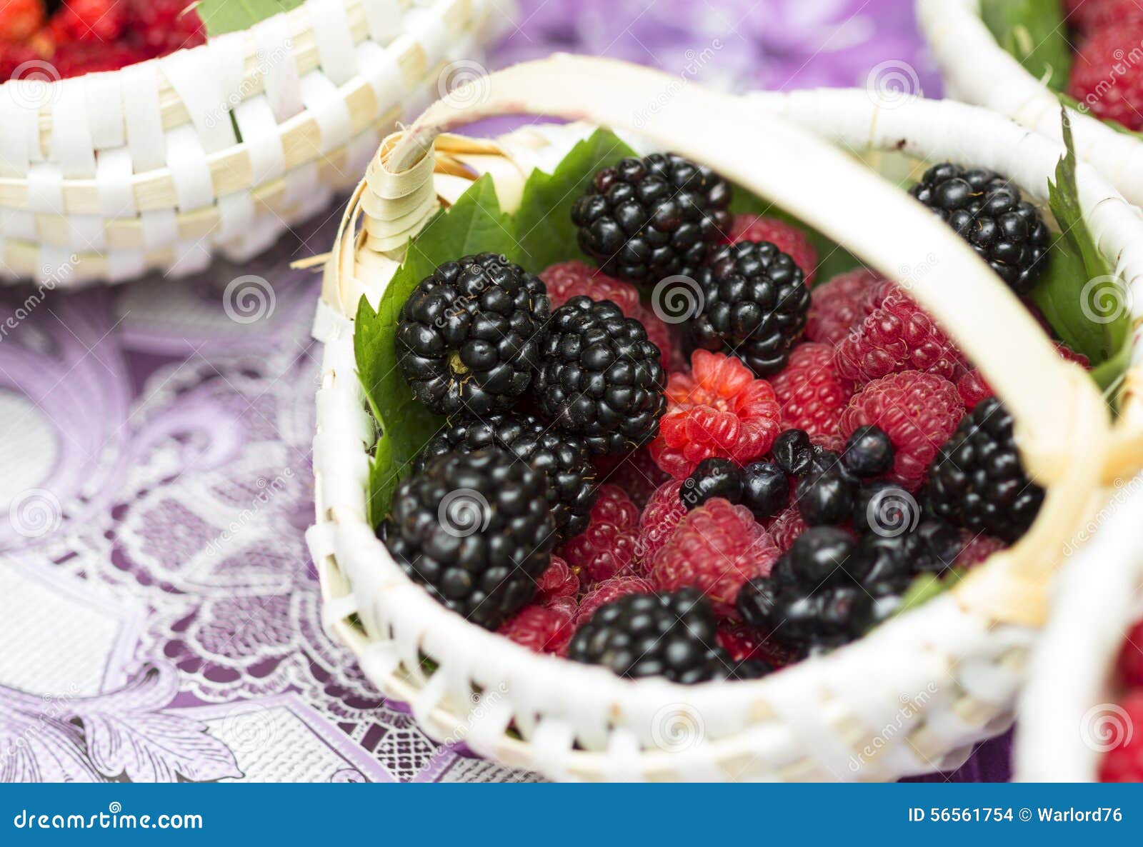Mulberry and raspberries stock photo. Image of flavonoids - 56561754