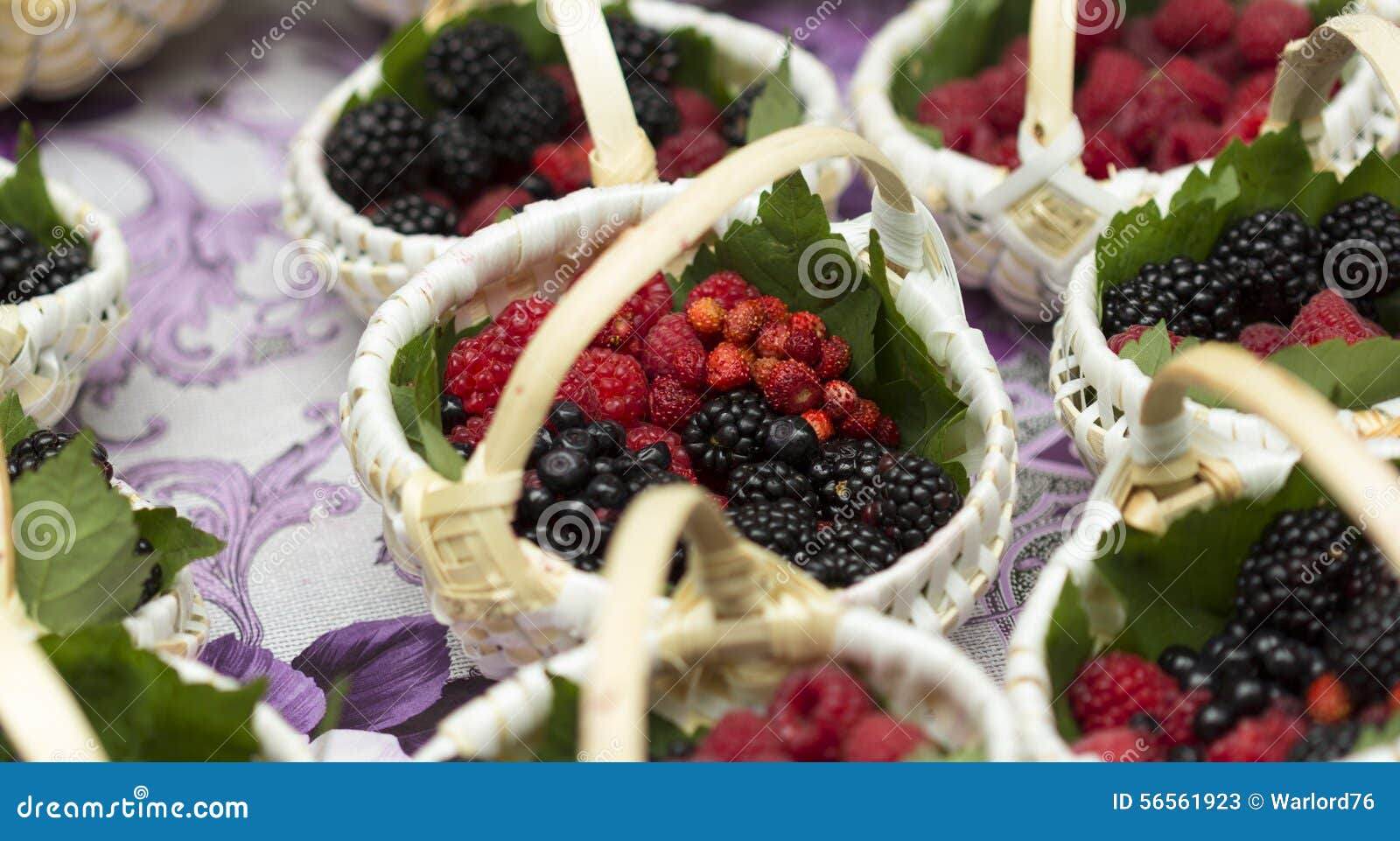 Mulberry and raspberries stock image. Image of basket - 56561923