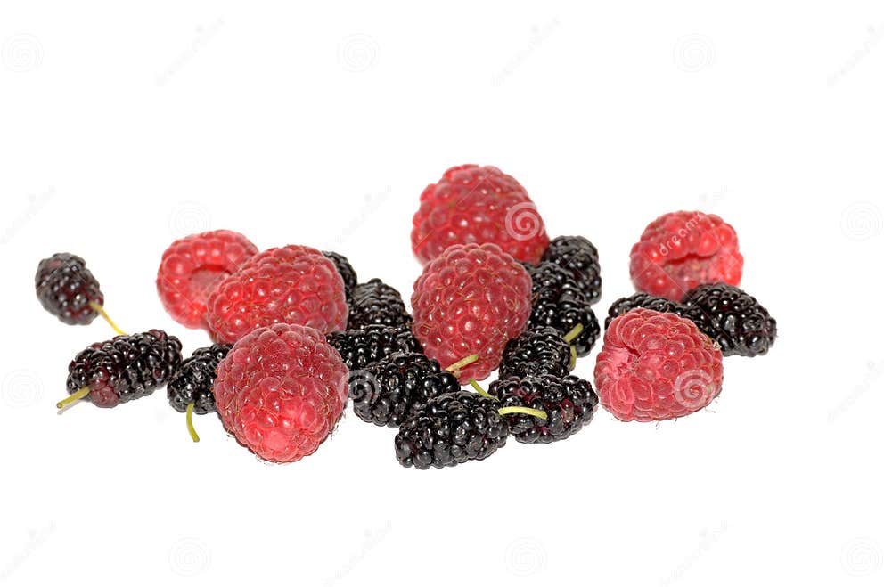 Mulberry and raspberry. stock image. Image of closeup - 42650015