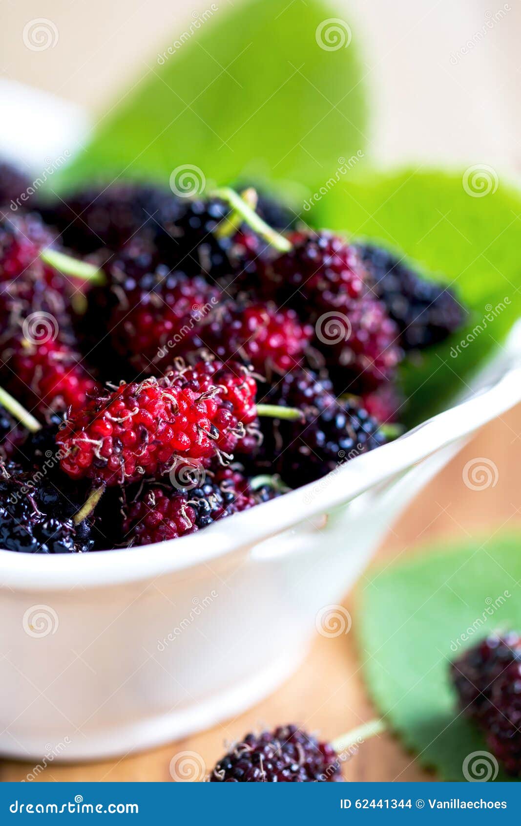 Mulbery stock photo. Image of vitamin, natural, ingredient - 62441344