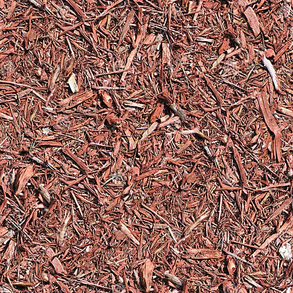 Mulch stock photo. Image of seamless, wood, garden, texture - 20199548