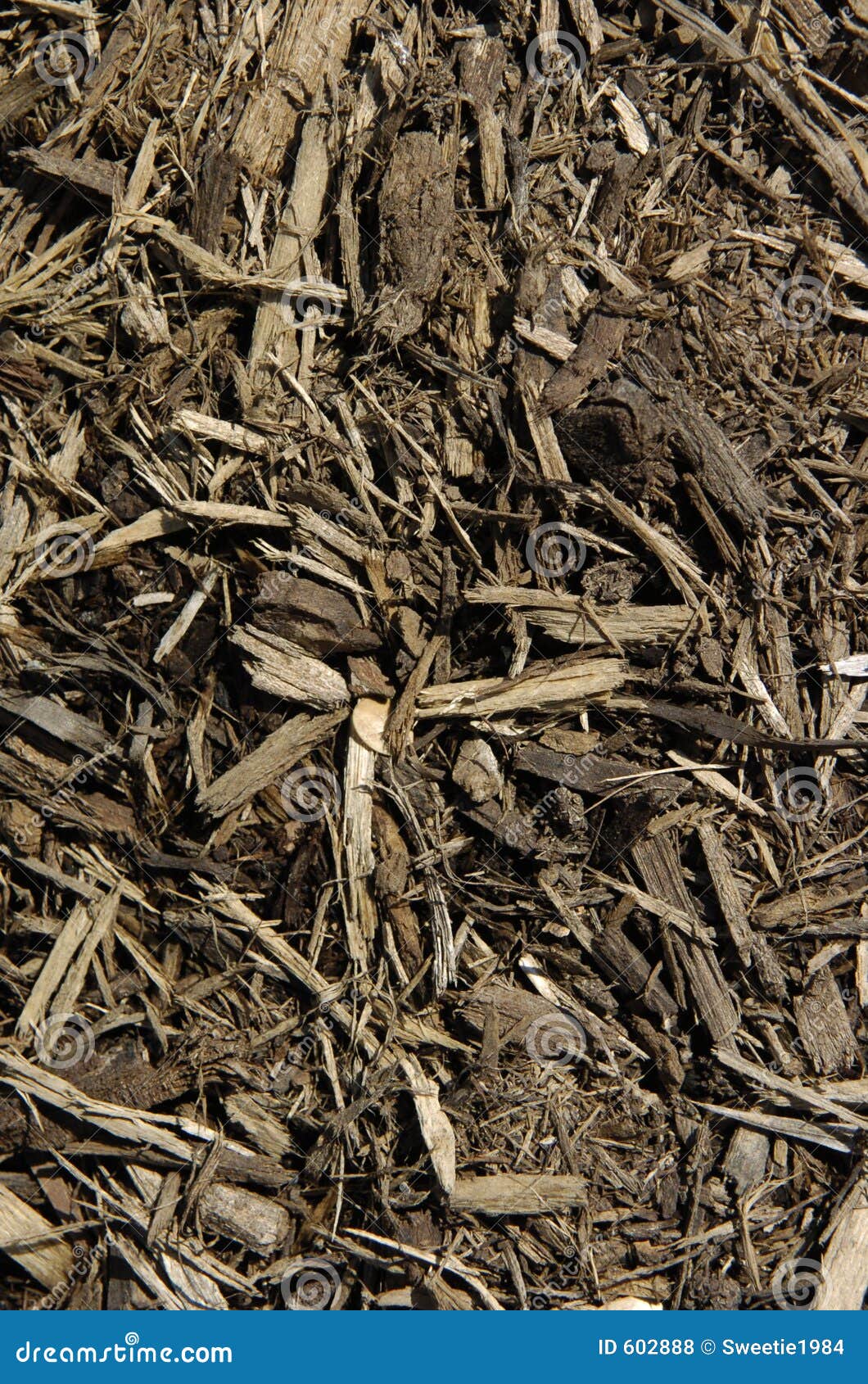 Mulch stock photo. Image of textures, mulch, landscaping - 602888