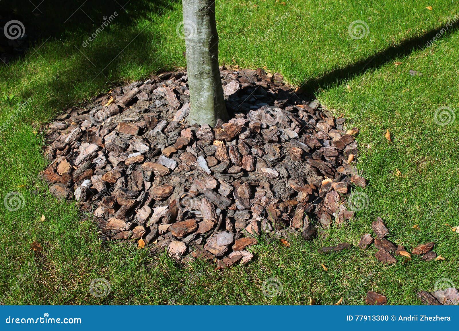 Mulch Bark Seamless Texture Royalty-Free Stock Photography ...