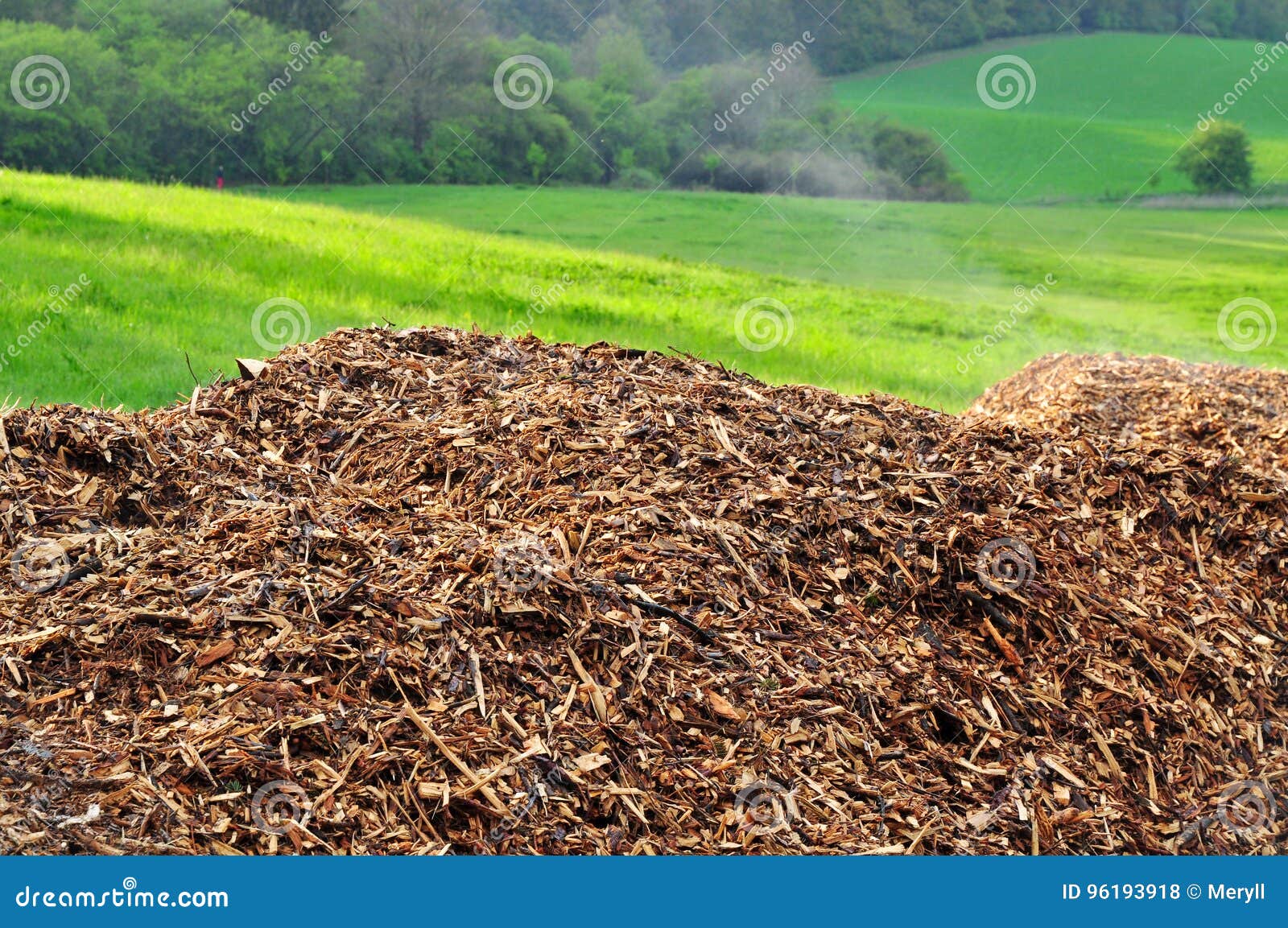 Mulch nature biomass stock photo. Image of woodchip, wood - 96193918