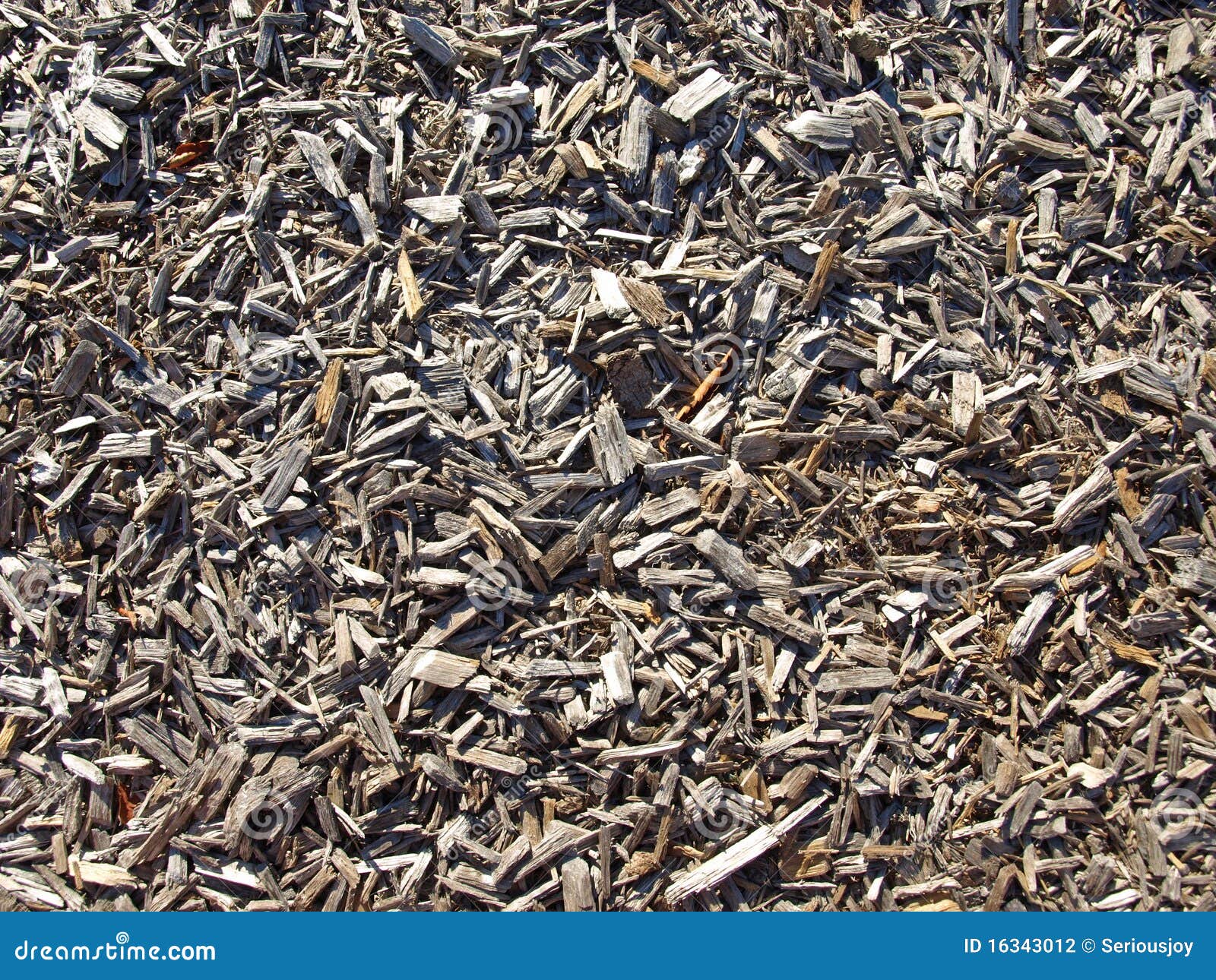 Mulched ground stock photo. Image of chip, wood, mulched - 16343012