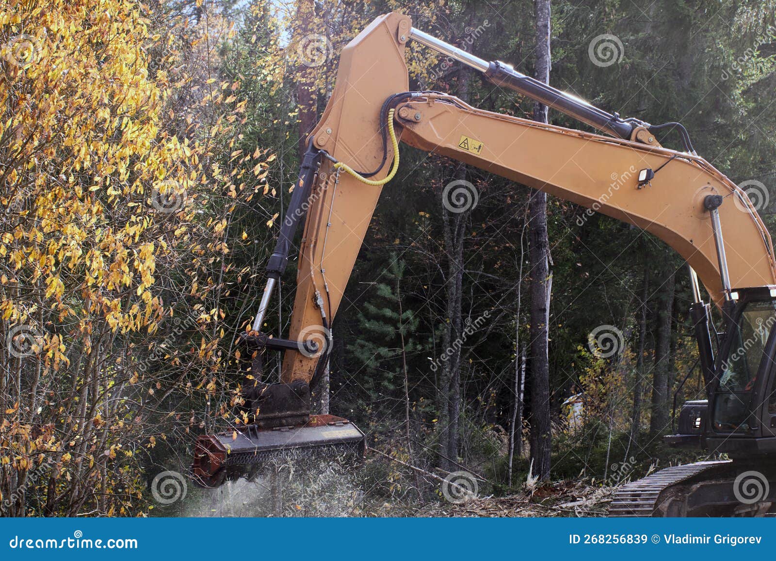 Mulcher on an Excavator Clears Roadside from Small Trees and Shrubs ...