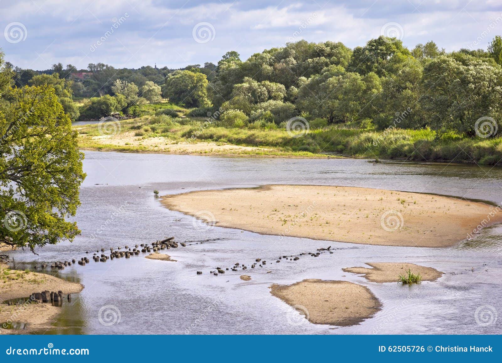 Mulde River in summer stock photo. Image of dessau, mulde - 62505726