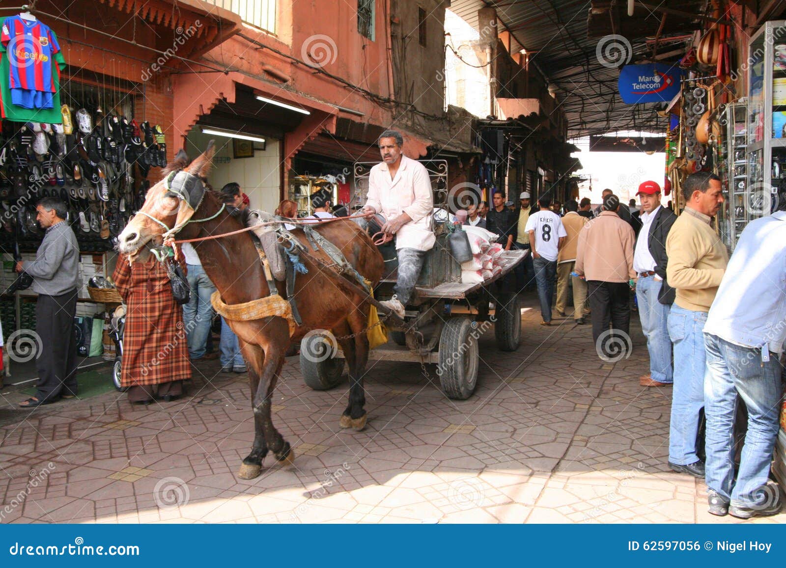 Man Driving Mule Cart through Market Editorial Photo - Image of ...