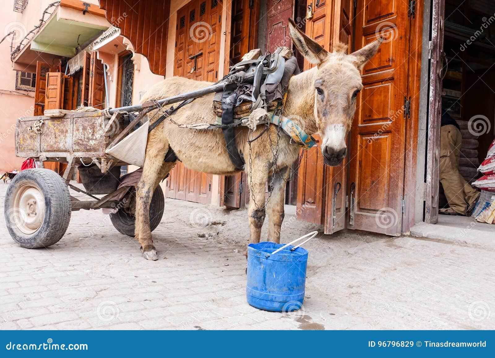 Mule Cart in Front of Traditional Buildings Stock Image - Image of ...
