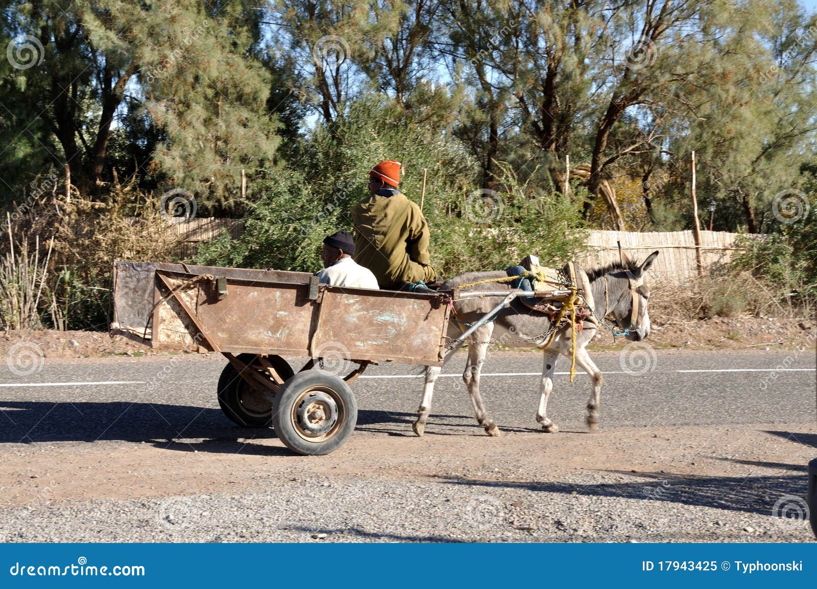 Mule Cart in a Moroccan Village Editorial Image - Image of rural ...
