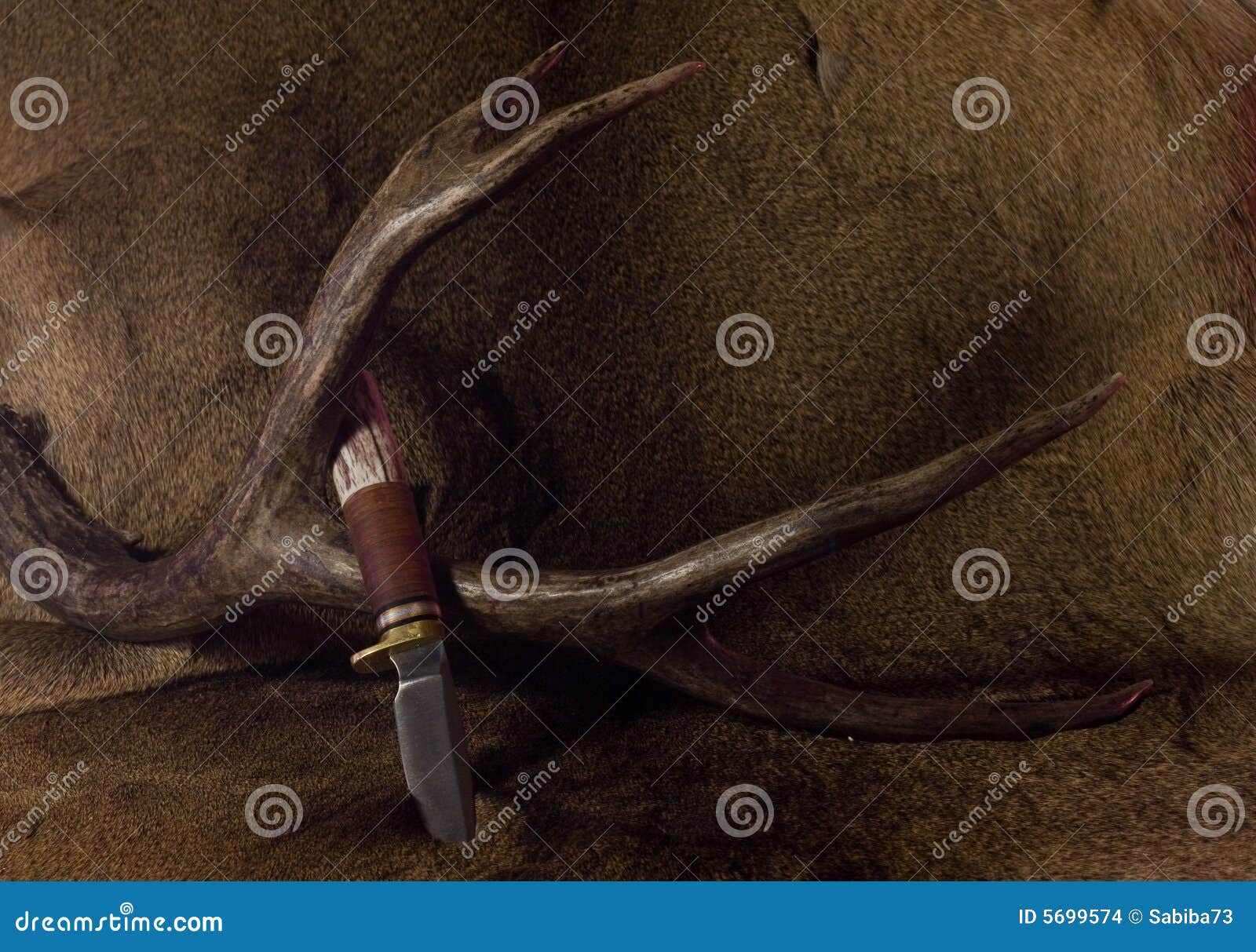 1,289 Hide Knife Stock Photos - Free & Royalty-Free Stock Photos from ...