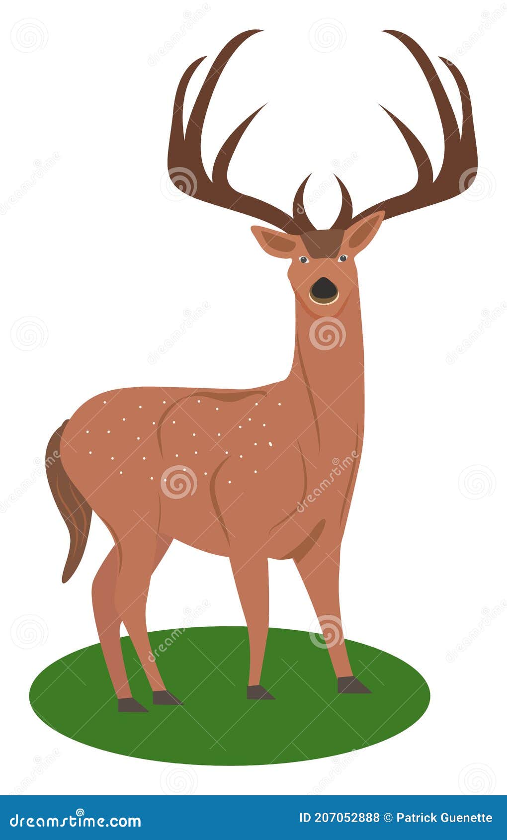 Mule Deer ,illustration, Vector Stock Vector - Illustration of reindeer ...