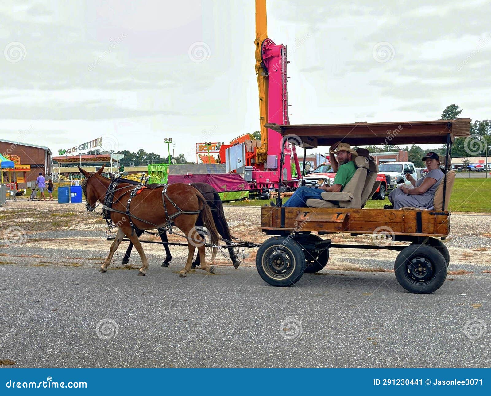 Mule driven cart editorial photo. Image of carts, cart - 291230441