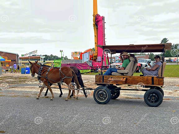 Mule driven cart editorial photo. Image of carts, cart - 291230441