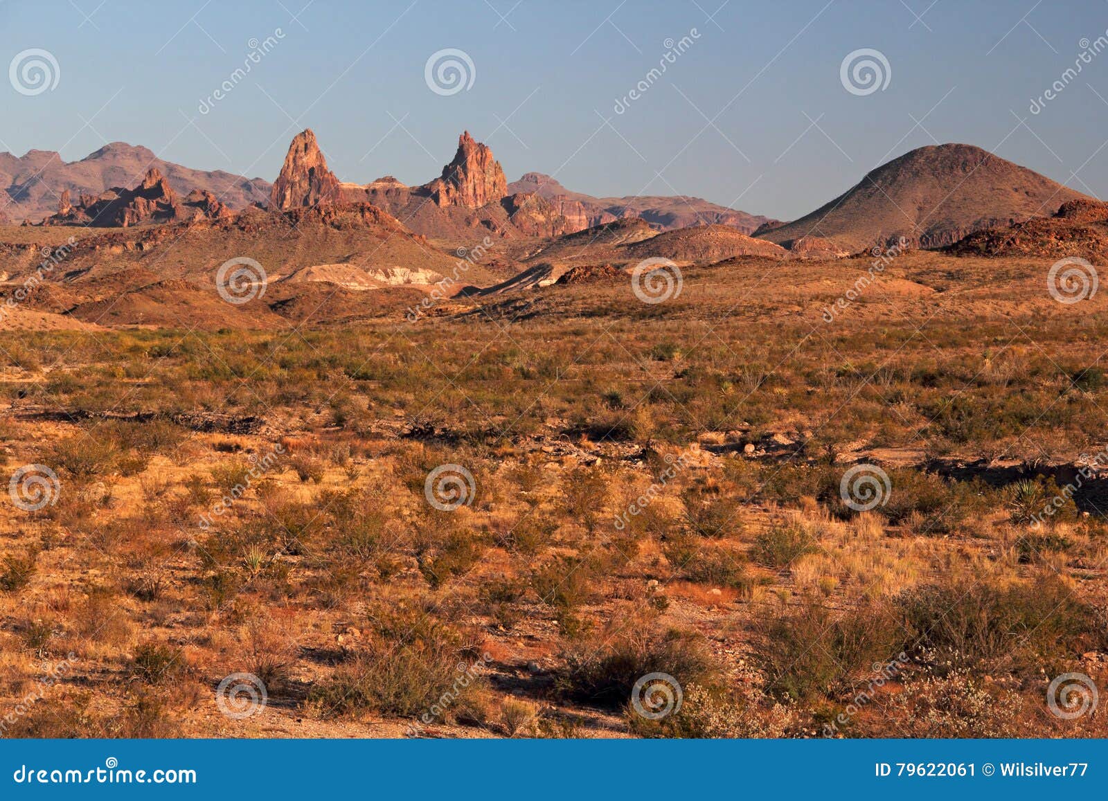 Mule Ears stock image. Image of outdoors, parks, chisos - 79622061