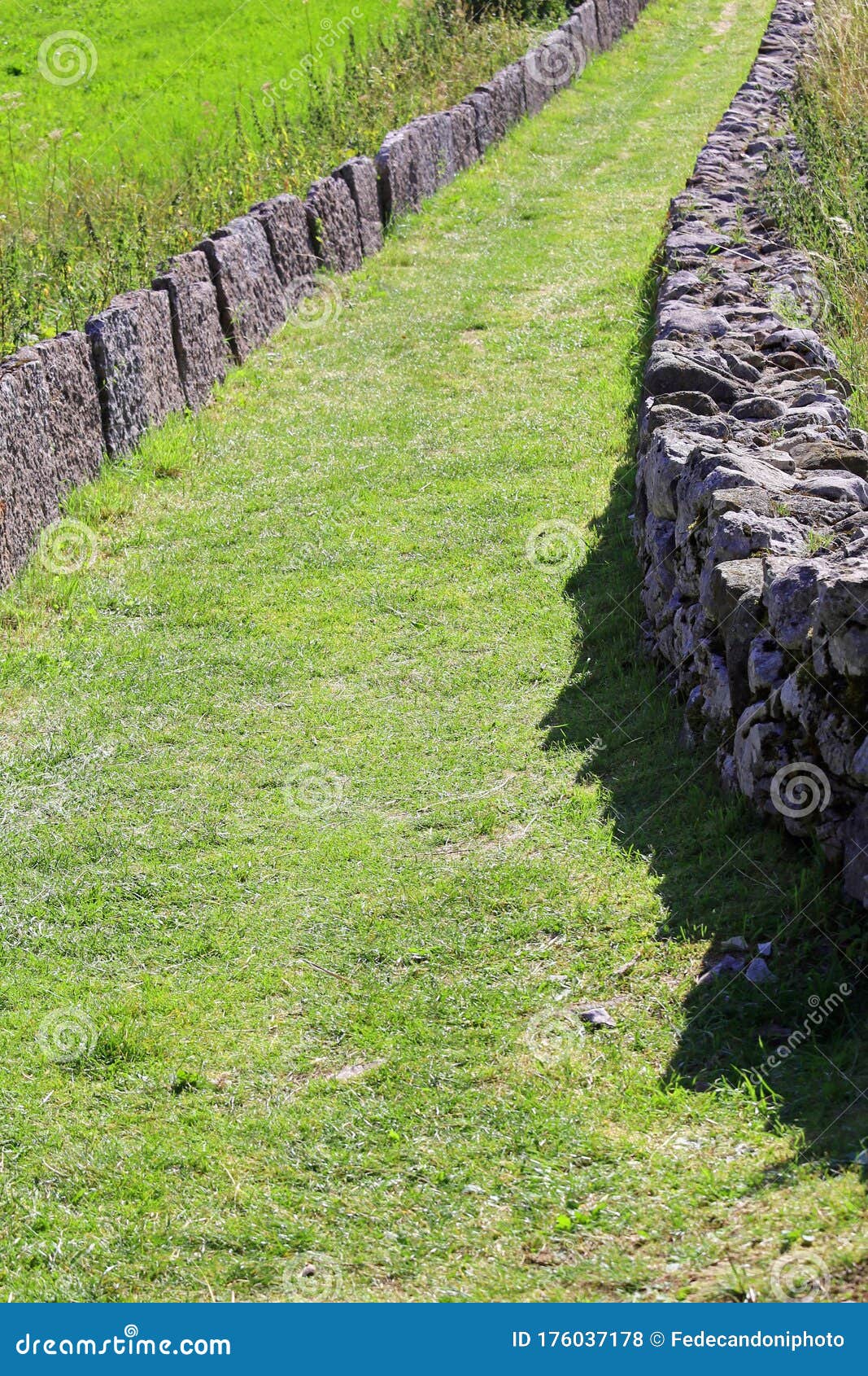 Mule Track with Grass on the Hill Stock Photo - Image of onthe ...