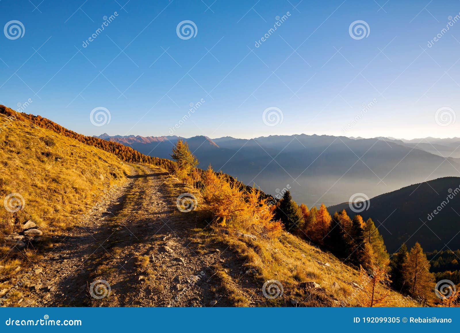 Mule track stock image. Image of meadow, larch, outdoor - 192099305