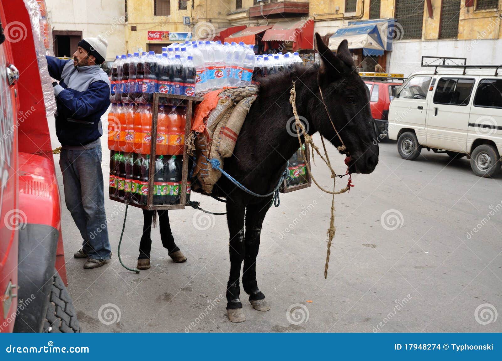 Mule transport in Morocco editorial stock image. Image of animal - 17948274