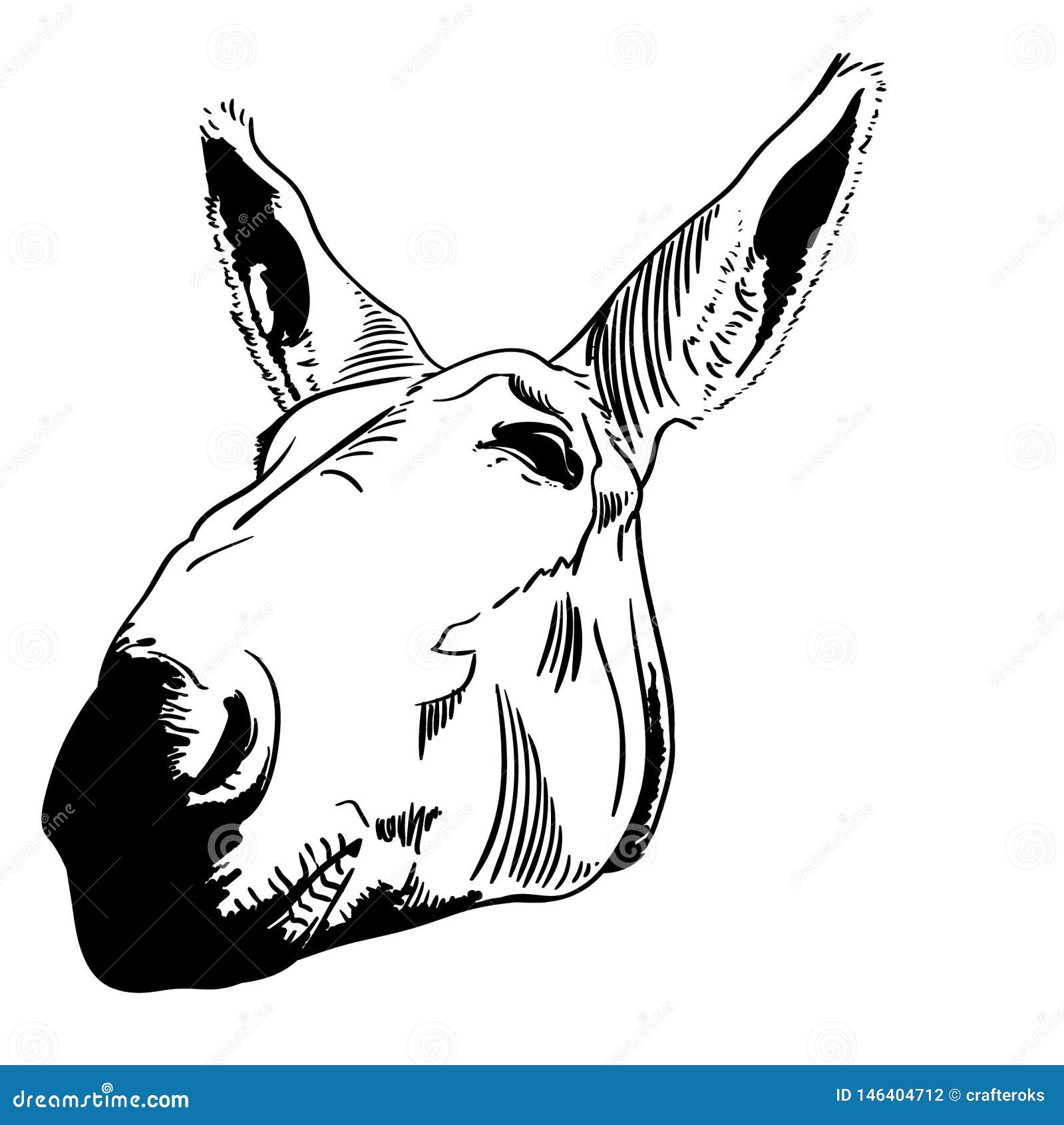 Mule Vector Eps Illustration By Crafteroks | CartoonDealer.com #146404804