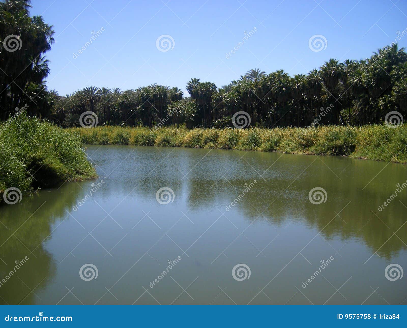Mulege, Baja California stock photo. Image of mexico, river - 9575758
