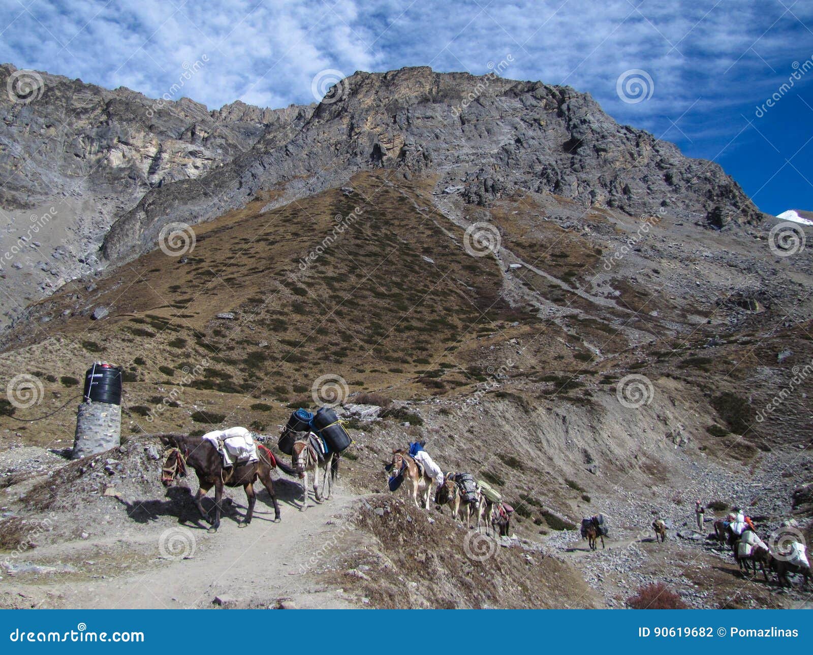 Mules is the only Freight Transport in the Himalayas Stock Photo ...