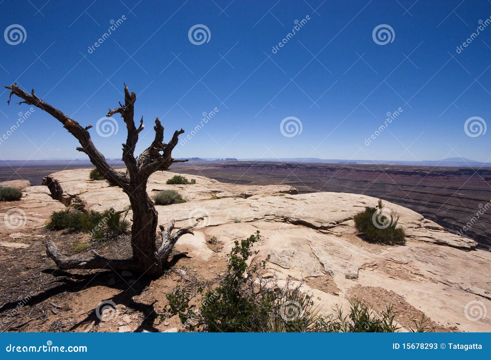 Muley Point stock image. Image of panorama, deep, moki - 15678293