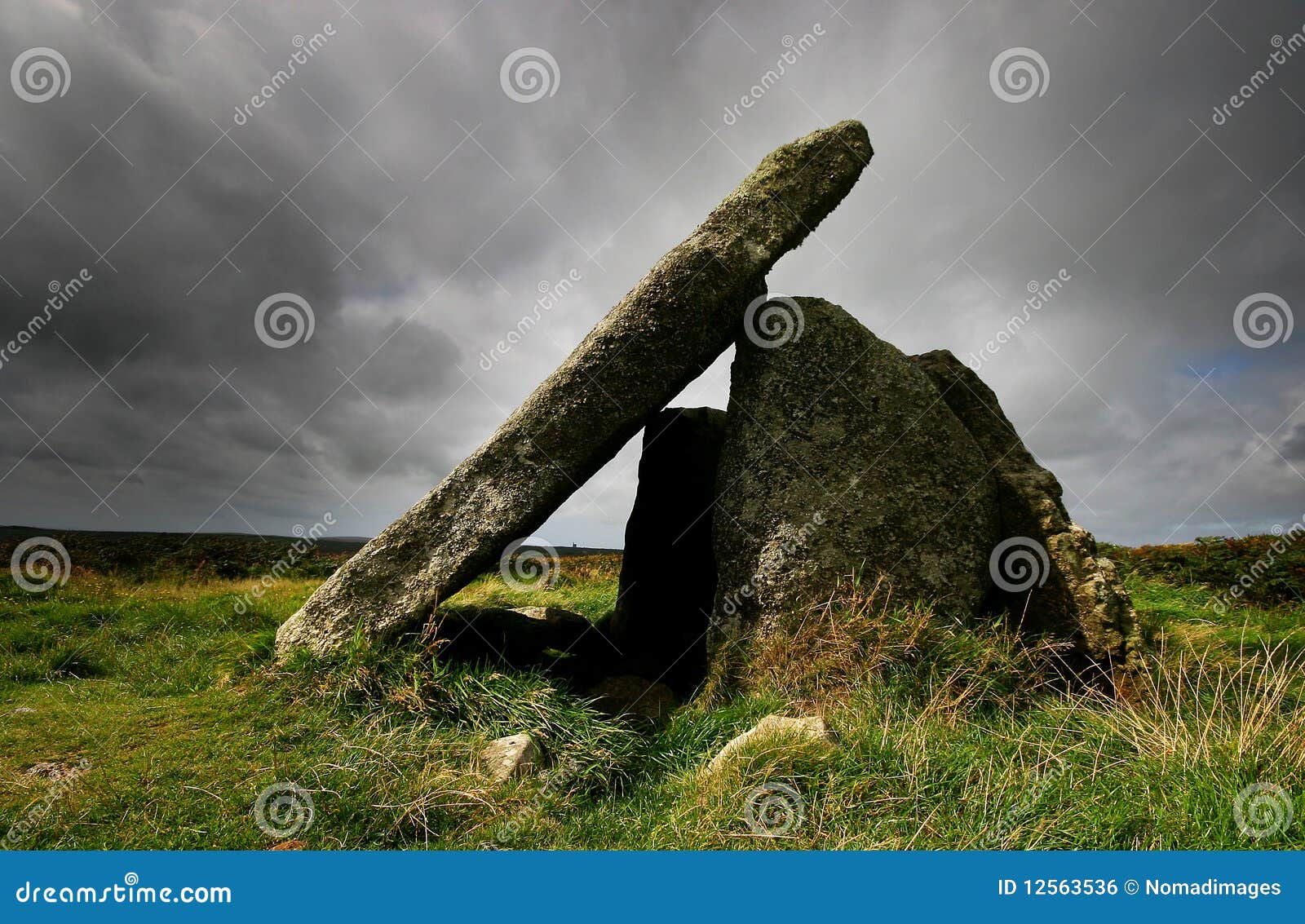 Royalty Free Images, Cartoons, Illustrations And Photos Designed By ...