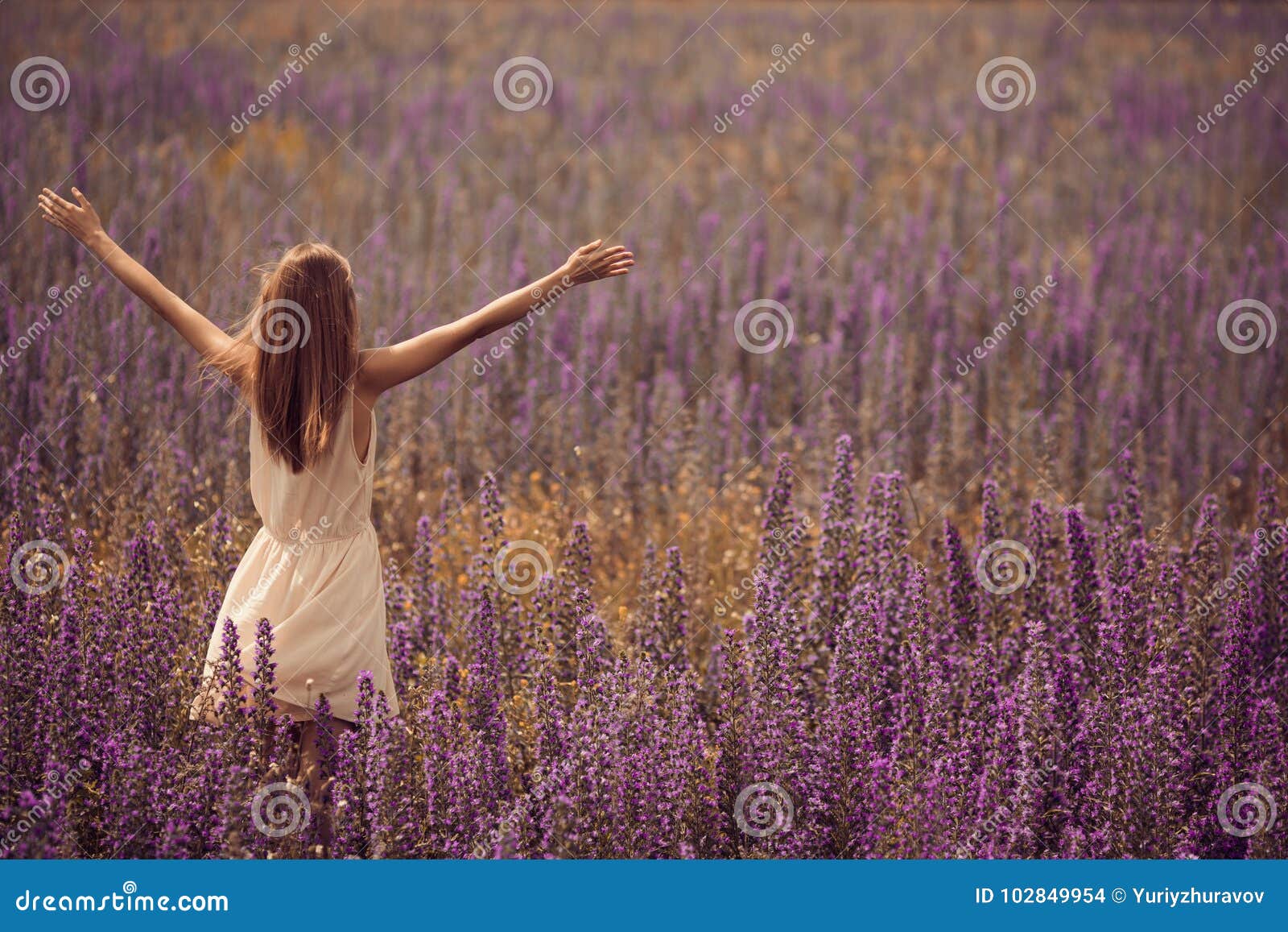 Mulher Atrativa No Vestido No Campo De Flor Foto de Stock - Imagem de ... Mulher Atrativa No Vestido No Campo De Flor Foto de Stock - Imagem de ...