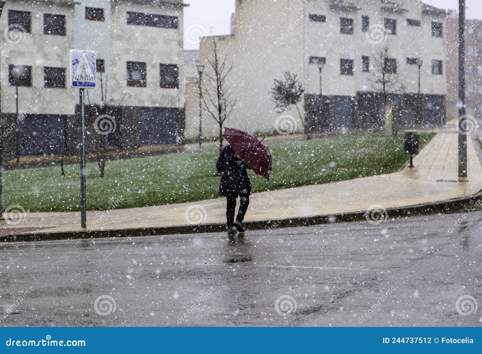 Mulher Com Guarda-chuva De Neve Foto de Stock - Imagem de sozinho ...