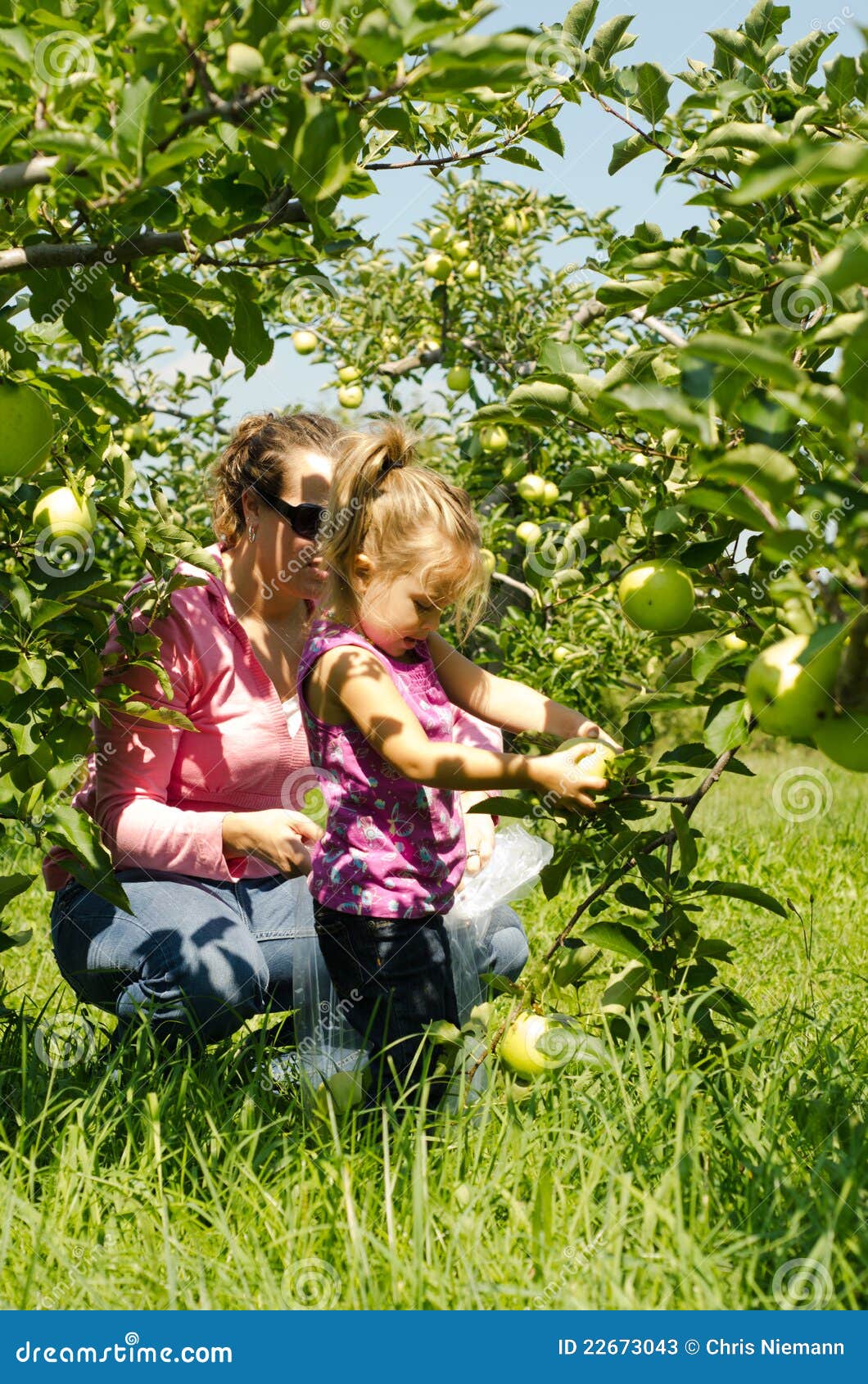 Mulher e menina no pomar imagem de stock. Imagem de jovem - 22673043