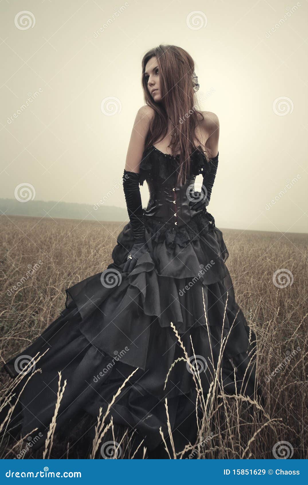 Mulher nova do goth imagem de stock. Imagem de humano - 15851629