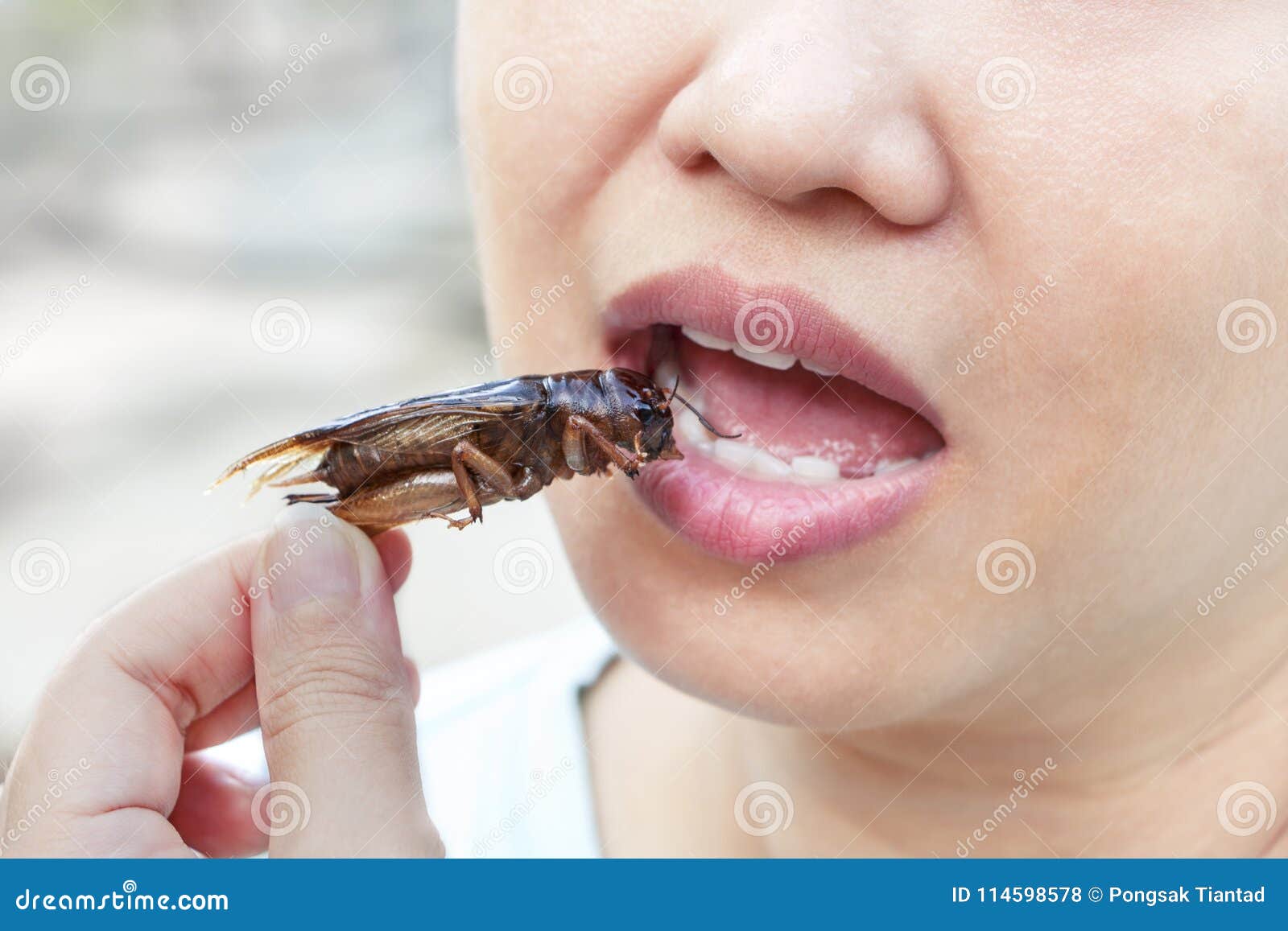 A Mulher Que Abre Sua Boca Para Comer Insetos O Conceito Do Prote Foto ...