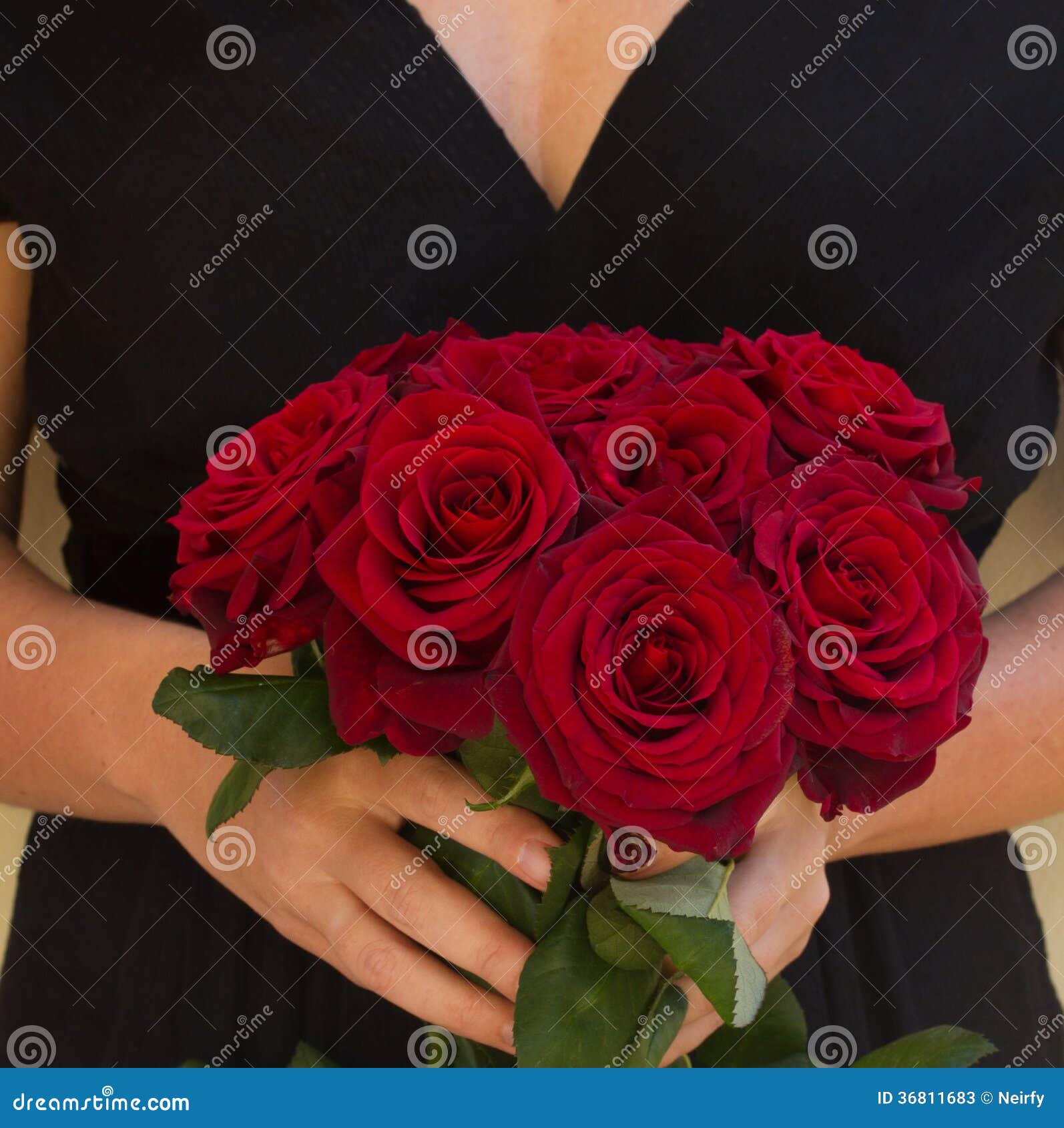 Mulher que guarda rosas imagem de stock. Imagem de presente - 36811683