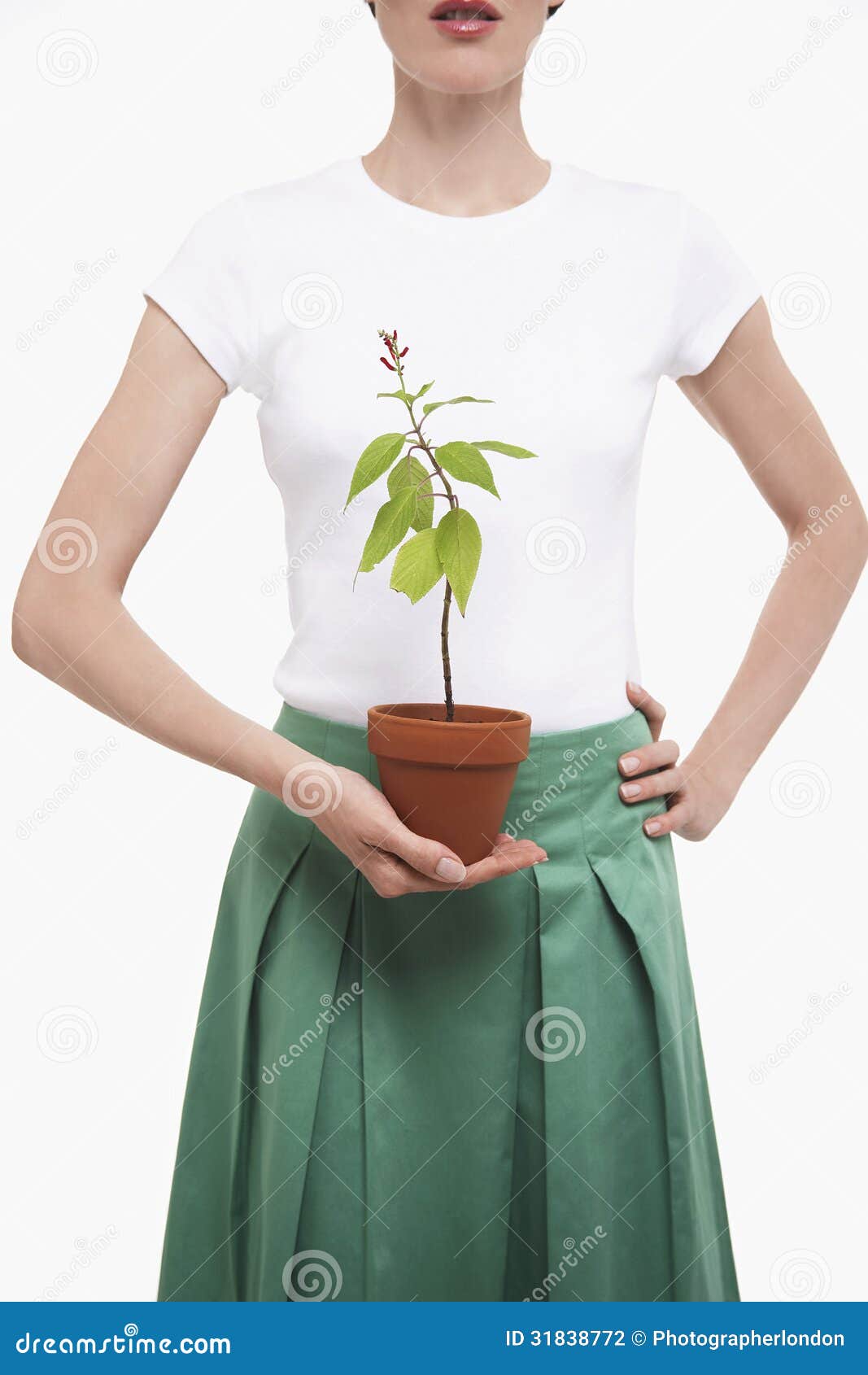 Mulher Que Guardara a Planta Em Pasta Foto de Stock - Imagem de usina ... Mulher Que Guardara a Planta Em Pasta Foto de Stock - Imagem de usina ...