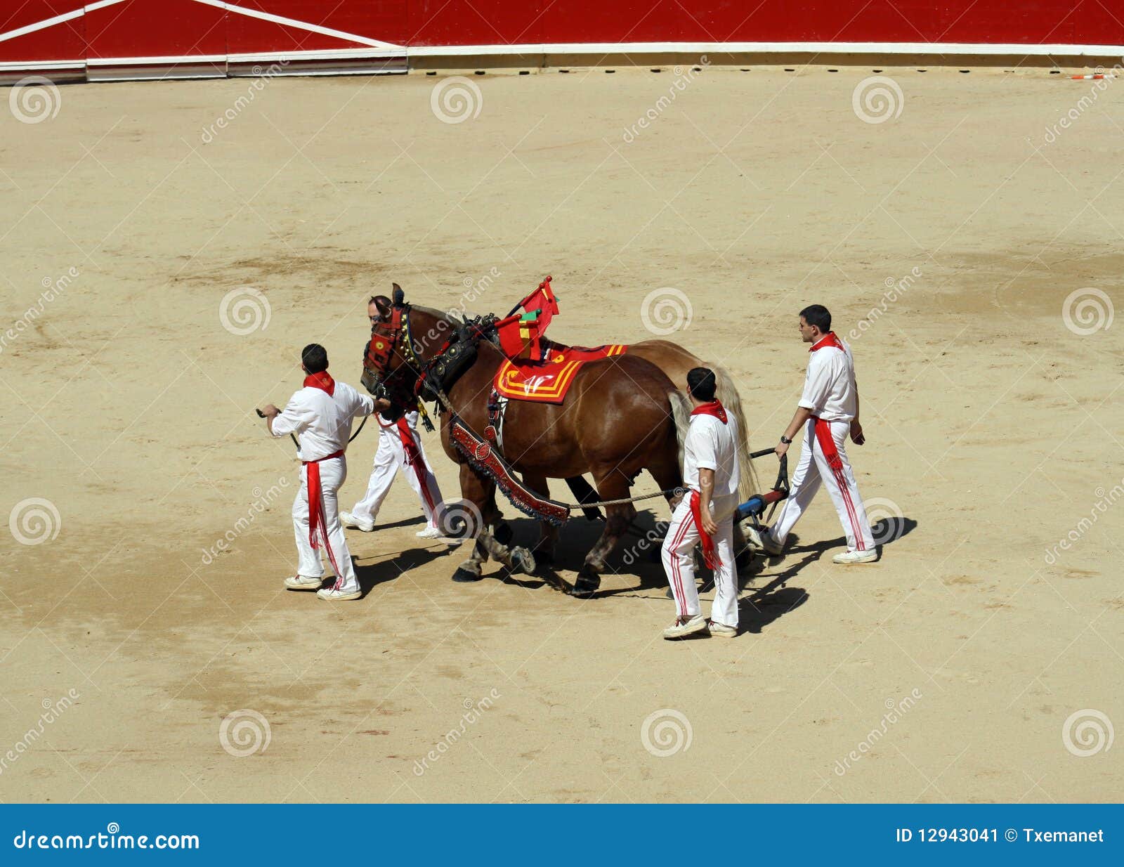 The Mulillas of the Bullring of Pamplona. Editorial Photo - Image of ...