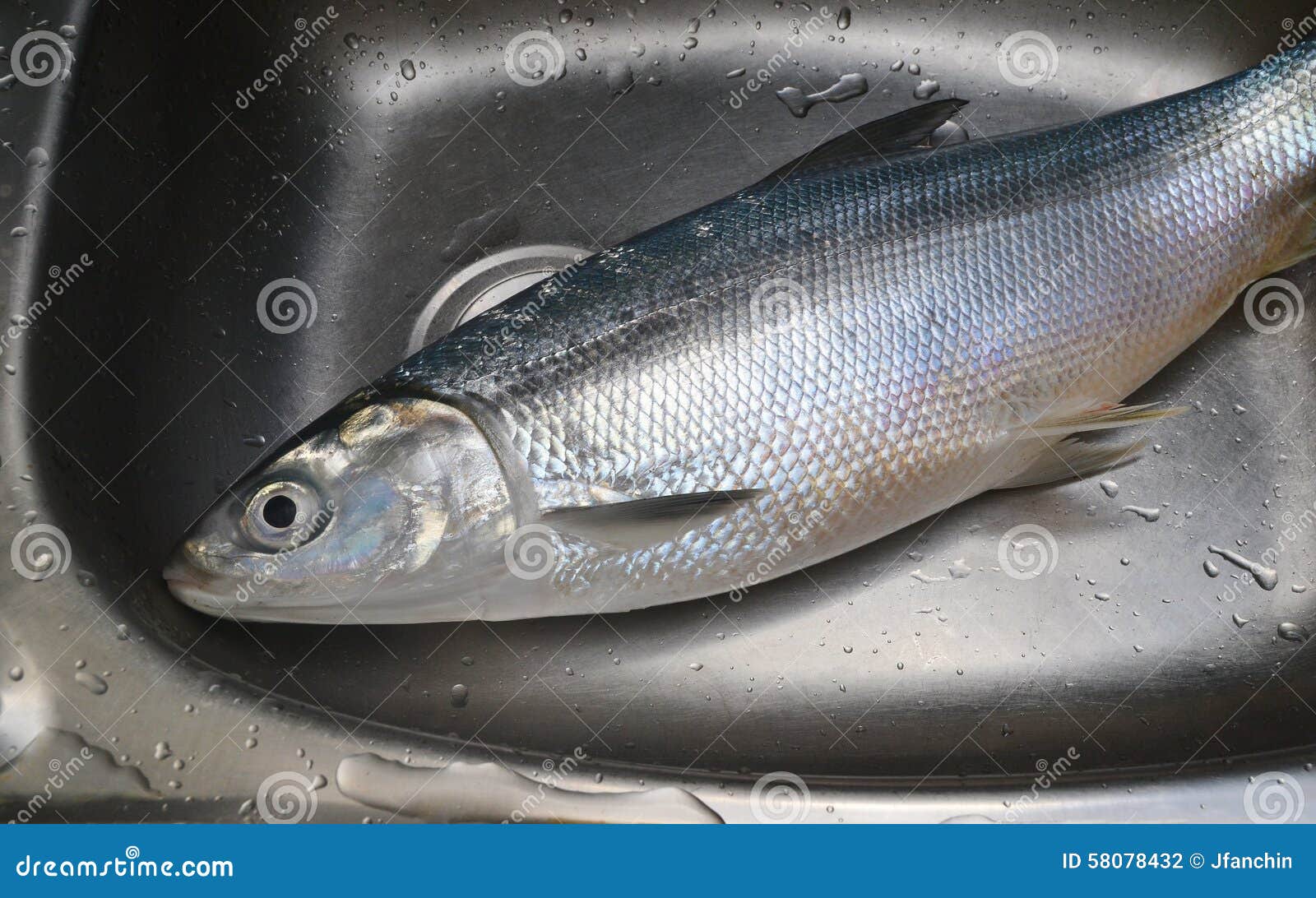 Mullet fish stock photo. Image of mackerel, cooking, meal - 58078432