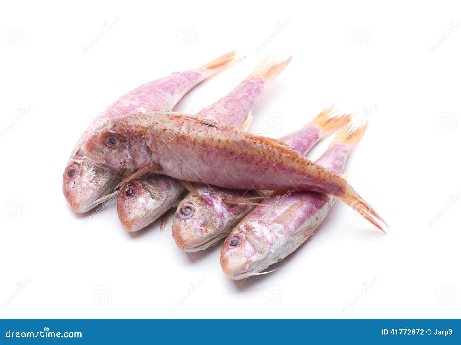Mullet fresh stock photo. Image of fresh, surmullet, white - 41772872