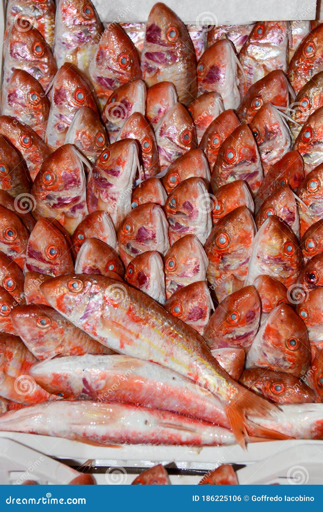 Mullet stock photo. Image of sicilian, fish, diet, healthy - 186225106
