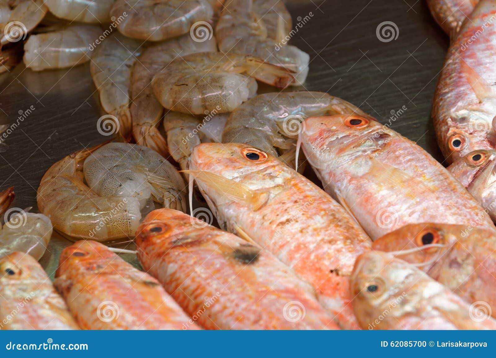 Mullet, perch and shrimps stock photo. Image of mediterranean - 62085700