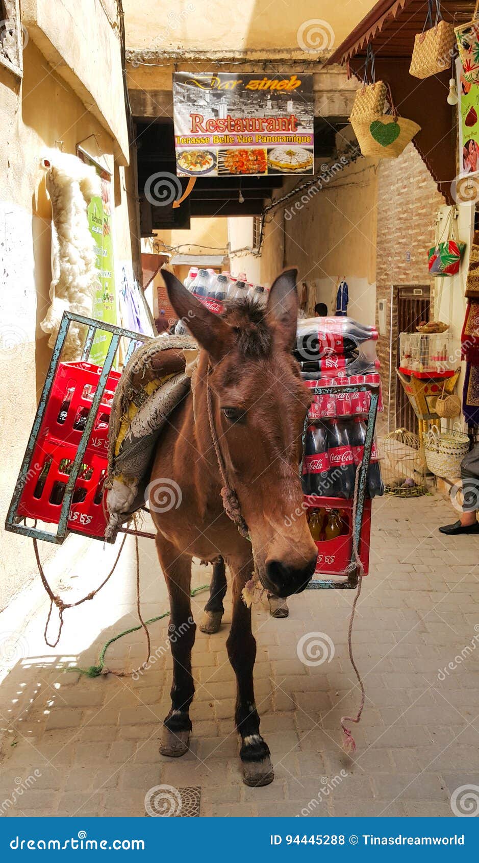 Mulo Caricato Con Le Scatole Riempite Di Coke Fotografia Stock ...