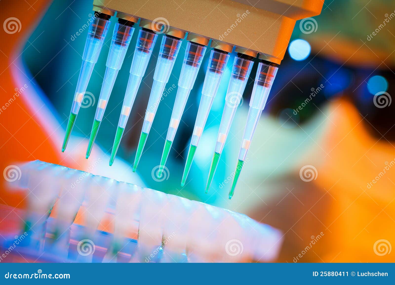 Multi-channel pipette stock image. Image of plate, science - 25880411