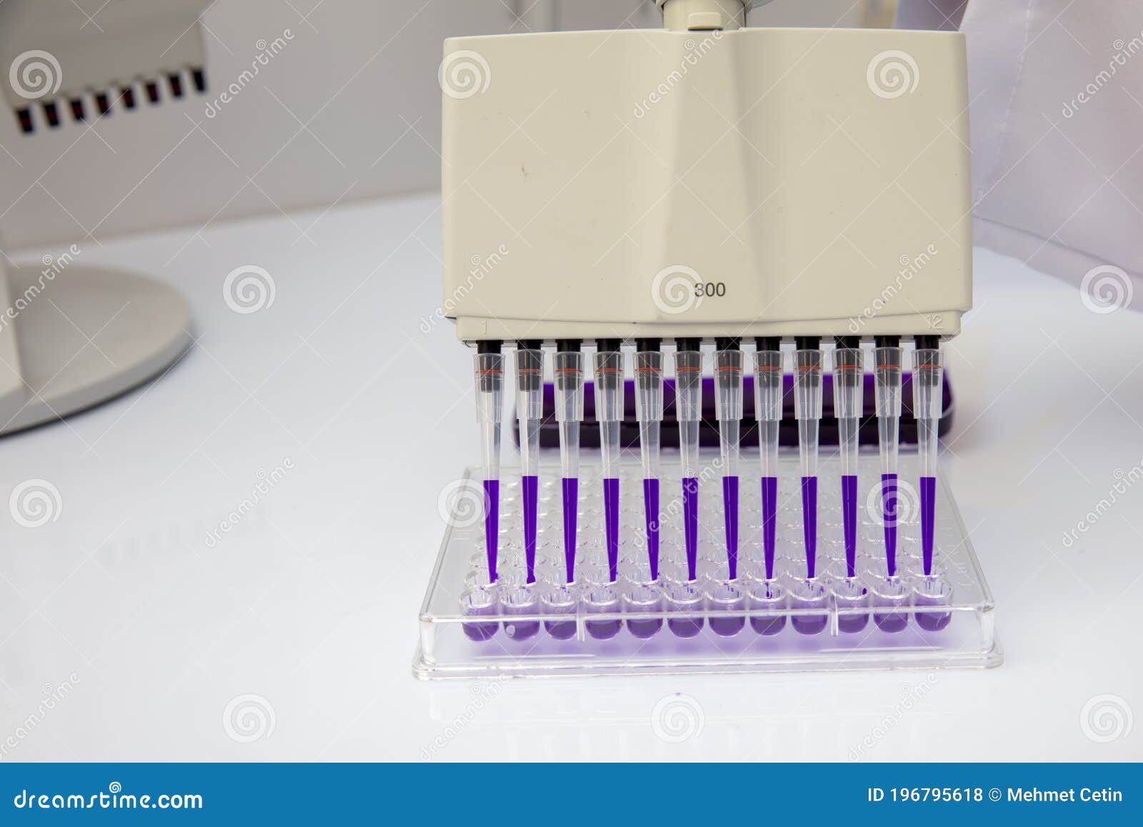 Multi Channel Pipette Loading Biological Samples in Microplate for Test ...