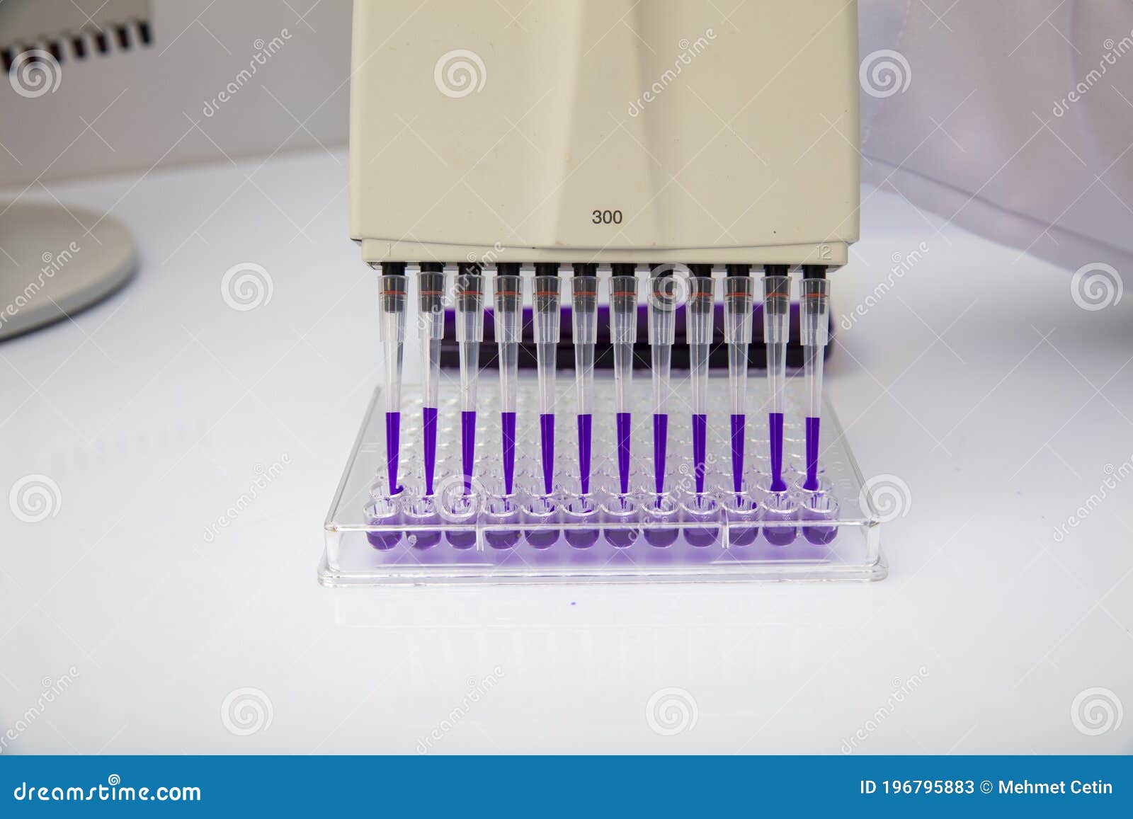 Multi Channel Pipette Loading Biological Samples in Microplate for Test ...