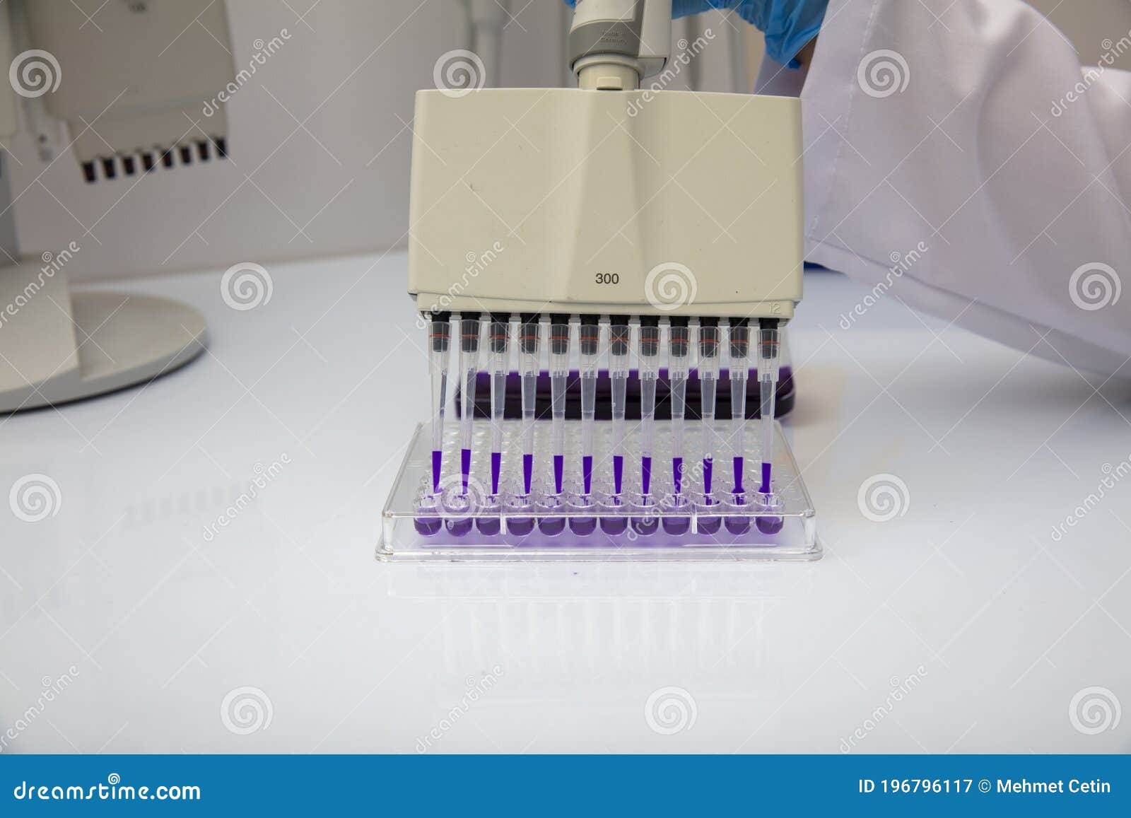 Multi Channel Pipette Loading Biological Samples in Microplate for Test ...