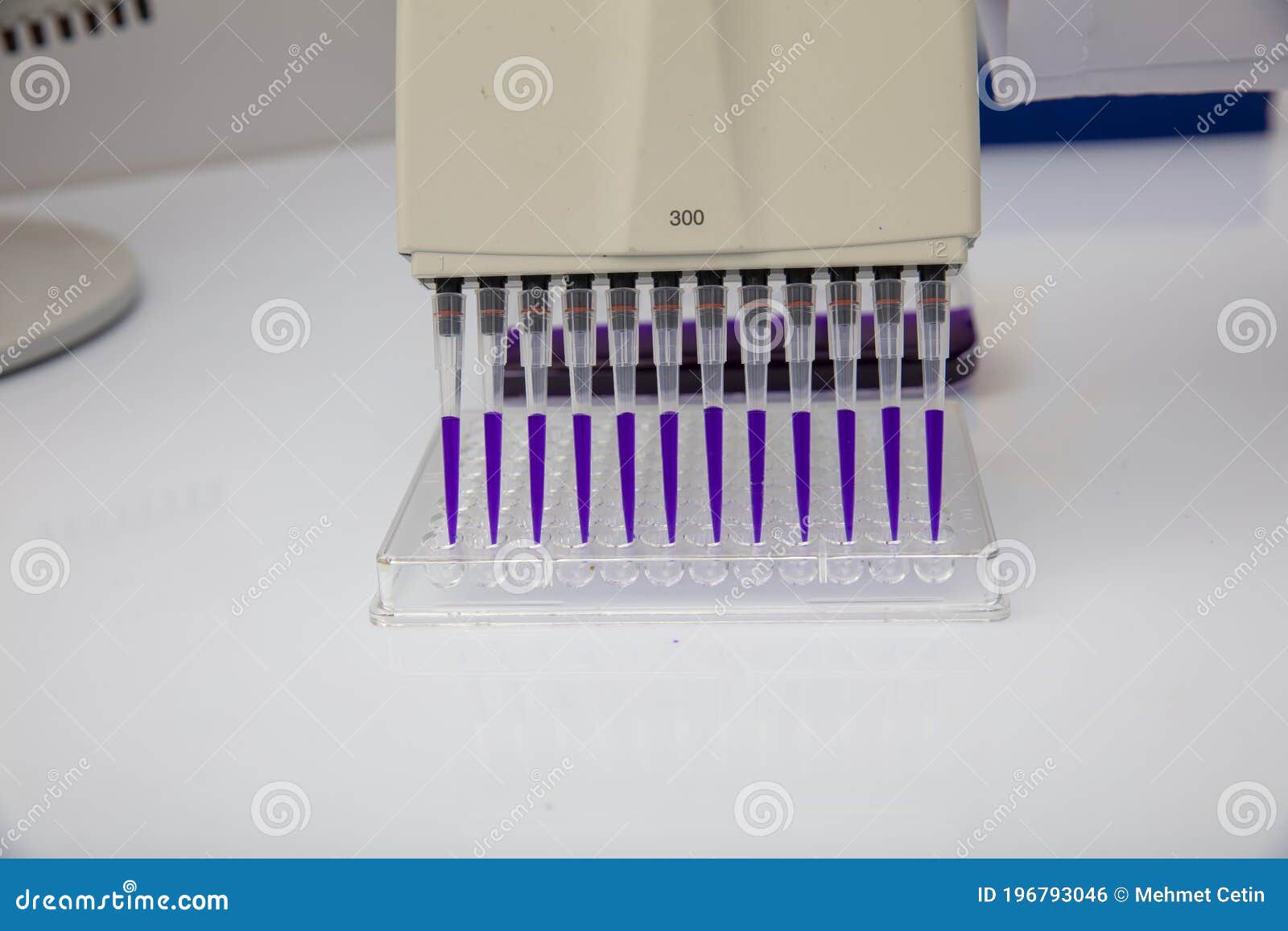 Multi Channel Pipette Loading Biological Samples in Microplate for Test ...