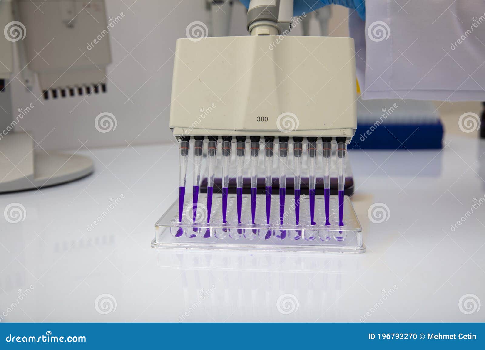 Multi Channel Pipette Loading Biological Samples in Microplate for Test ...