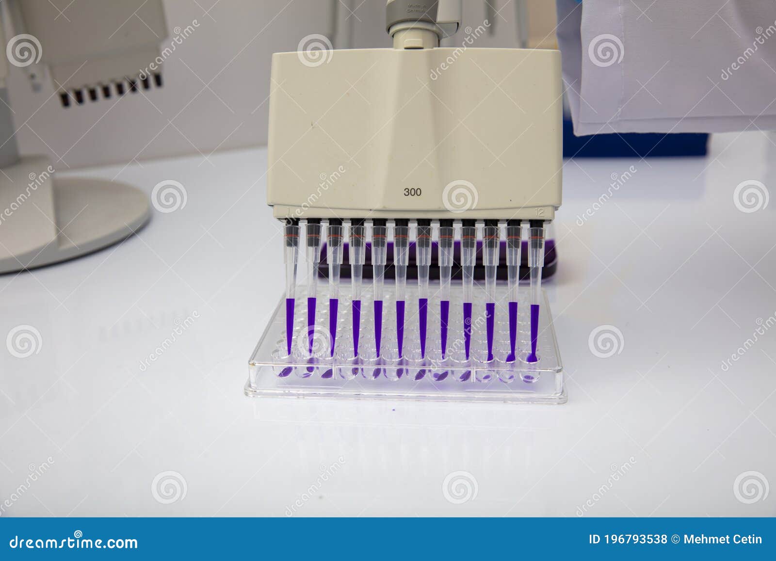 Multi Channel Pipette Loading Biological Samples in Microplate for Test ...